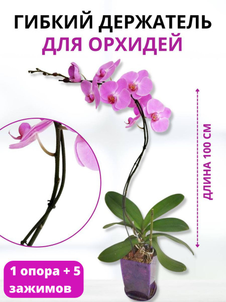 Гибкая опора для орхидей - купить по выгодной цене в интернет-магазине ...