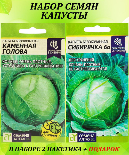 Капуста Семена Алтая К - купить по выгодным ценам в интернет-магазине ...