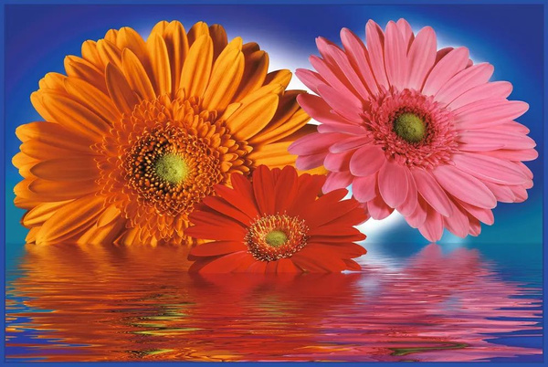 Фотообои глянцевые на стену Фантазия 196*134 см 4 листа - купить по выгодной цене в интернет ...