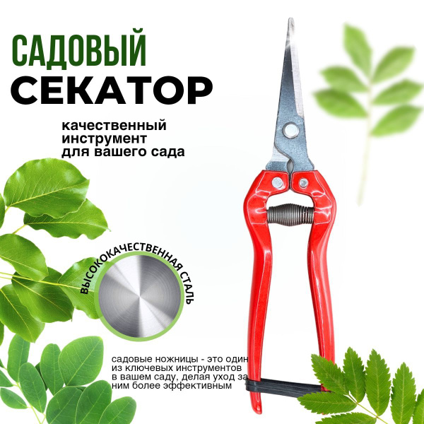 Садовый секатор с тонкими лезвиями, ножницы для цветов / для орхидей ...