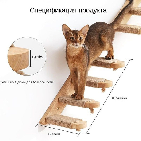 Настенная лестница Cat, настенная рама для скалолазания cat - купить с ...