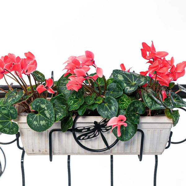 Подставка для цветов балконная на террасу крепление для цветочных ящиков 203-003 HiTSAD - купить ...