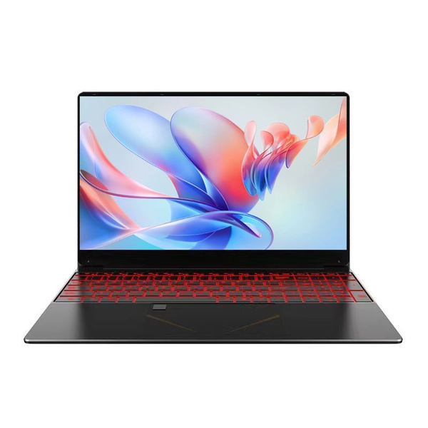 Ноутбук OLOEY G0301-TT1, серебристый купить по низкой цене: отзывы ...