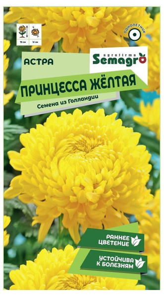 Seminis SEMINIS Цветы - купить по выгодным ценам в интернет-магазине ...