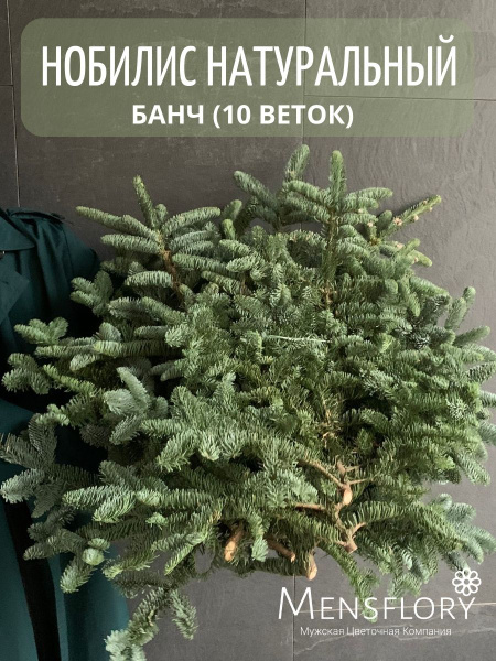 Нобилис натуральный банч (10 веточек) - купить с доставкой по выгодным ...