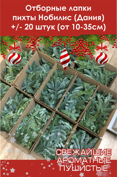 Нобилис натуральный для венков, композиций, ёлок, лапки +/- 20 шт ...