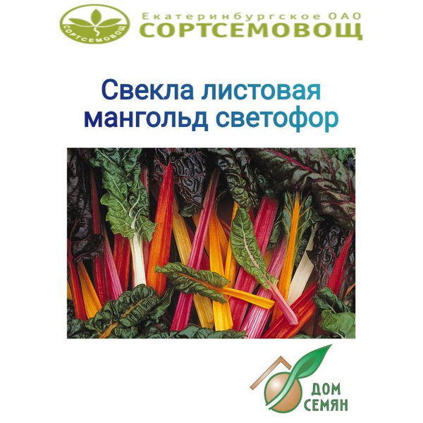 Мангольд Сортсемовощ Тор35871.1 - купить по выгодным ценам в интернет ...