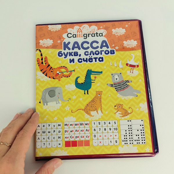 Касса букв, слогов и счета в папке с кармашками, формат А5, ПВХ ...