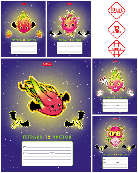 Набор тетрадей Hatber 12 листов, формата А5, в клетку, 65 г/кв. м, на скобе, 10 штук/5 дизайнов ...