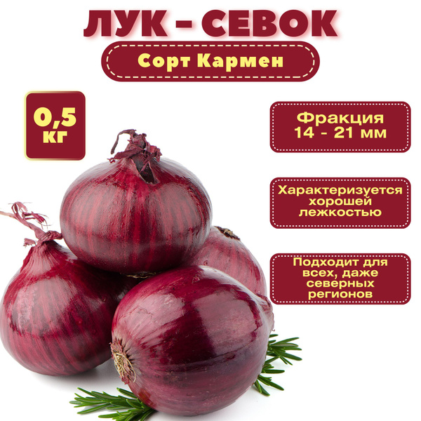 Луковицы Лук ЛЕТО купить по выгодной цене в интернет-магазине OZON ...