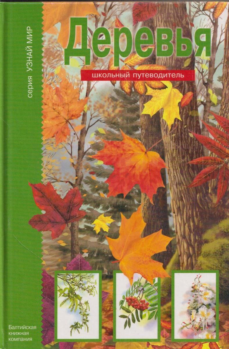 Книга "Деревья. Школьный путеводитель" – купить книгу ISBN 591233049-4 ...