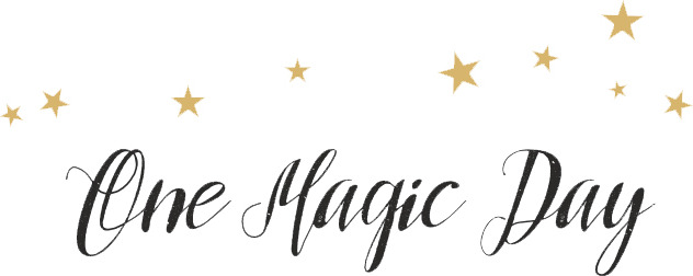 One Magic Day — купить товары One Magic Day в интернет-магазине OZON