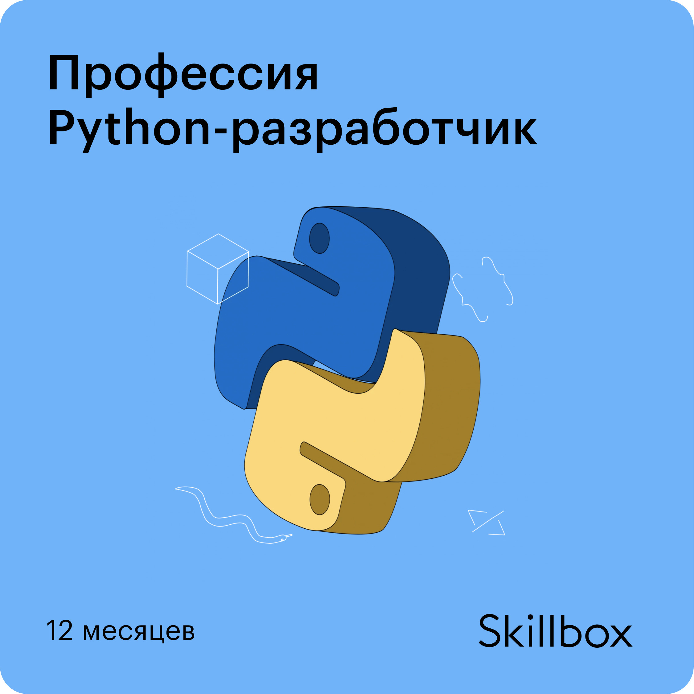 Профессия Python-разработчик Skillbox – цены на OZON Услуги