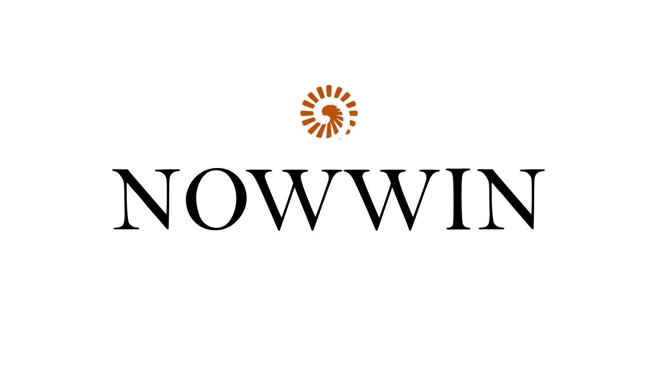 NOWWIN — купить товары NOWWIN в интернет-магазине OZON