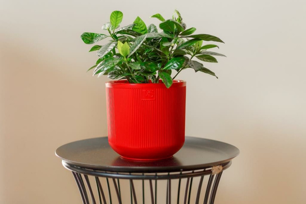 VipSet Горшок для цветов, 17,5 см х 19 см, 4.4 л - купить с доставкой ...