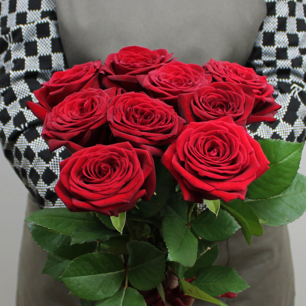 Роза ALMOND ROSES, цвет красный, 9 шт купить по выгодной цене в ...