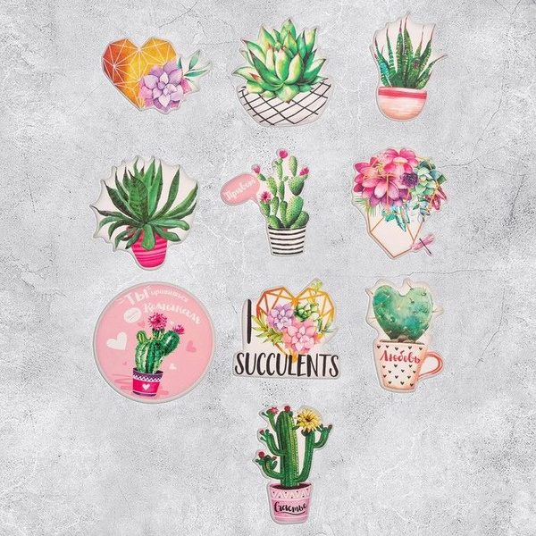 Наклейки стикеры "Суккуленты", 7 х 7 см / 3567423 купить на OZON по ...