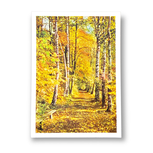 Открытка СССР из серии Музей - усадьба Л.Н.Толстого Ясная Поляна. Аллея в парке 1963 год купить ...