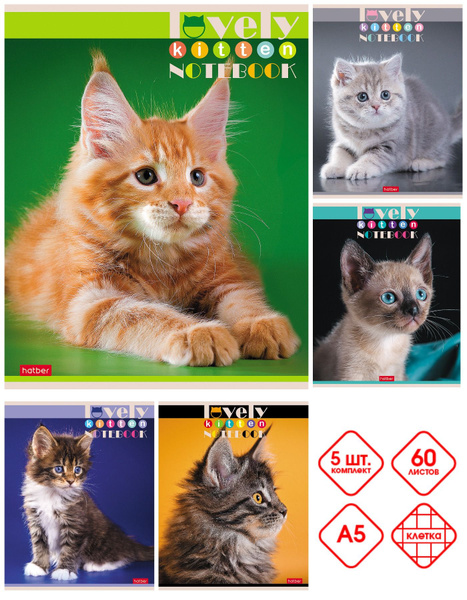 Набор тетрадей Hatber 60 листов, формата А5, в клетку, на скобе, 65 г/кв. м, 5 штук/5 дизайнов ...