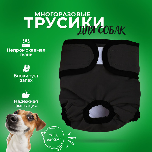 Трусы для собаки во время течки - купить с доставкой по выгодным ценам ...