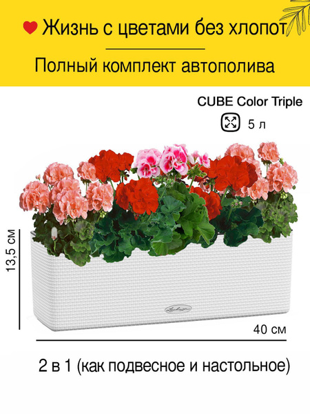 Кашпо с автополивом, подвесное, горшок для цветов LECHUZA CUBE Color ...