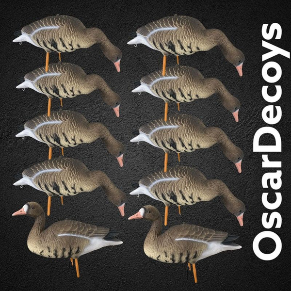 Чучела Белолобый гусь Elite 3D Speckbelly Goose OSCAR DECOYS комплект ...