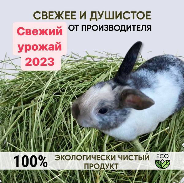 Сено луговое для грызунов 2000 гр. - купить с доставкой по выгодным ...