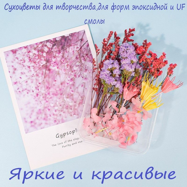 Сухоцветы ALTIDA, 17 см, 26 гр, 10 шт купить по выгодной цене в ...