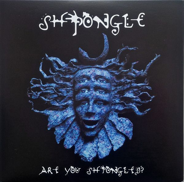 SHPONGLE Are You Shpongled? (винил) - купить с доставкой по выгодным ...
