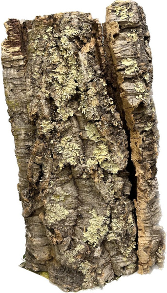 Кора пробкового дуба AMORIM CORK BARK - купить с доставкой по выгодным ...