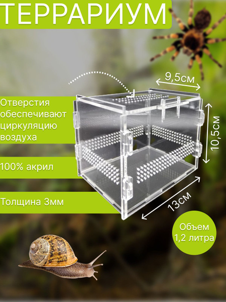Террариум с крышкой для пауков, улиток, переноска - купить с доставкой ...