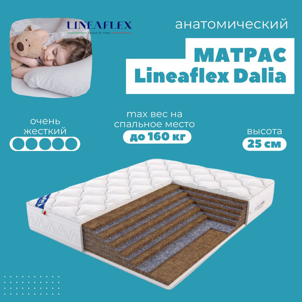 Матрас Lineaflex Dalia, 80 - купить по выгодной цене в интернет ...