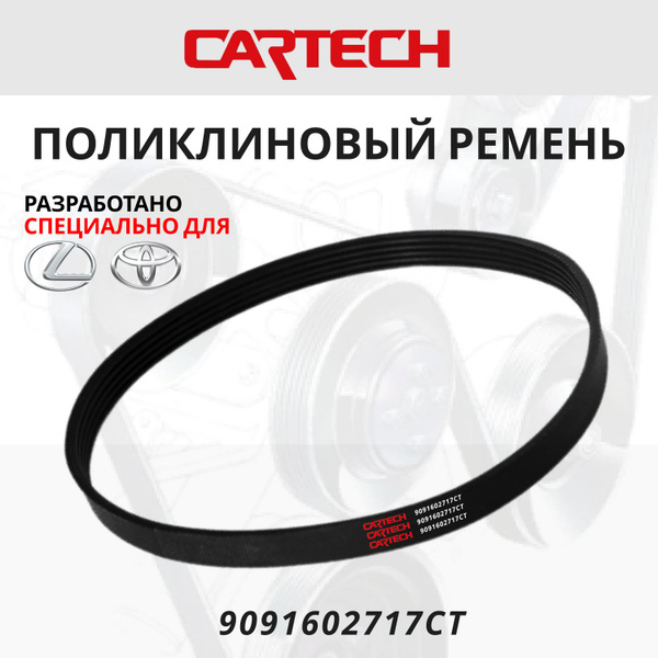 Cartech Ремень поликлиновой, арт. 9091602717CT, 1 шт. купить на OZON по ...