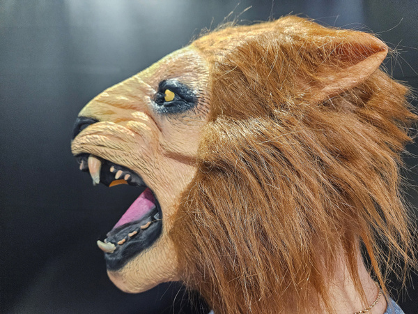 Маска Льва - купить по доступным ценам в интернет-магазине OZON ...