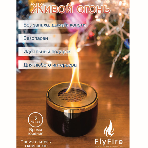 Биокамин FlyFire FlyFire-223, Настольная, Напольная установка - купить по низким ценам в ...