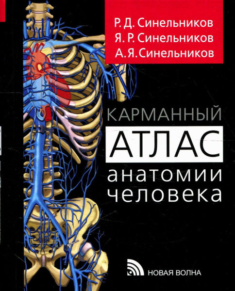 Карманный атлас анатомии человека | Синельников Рафаил Давидович ...