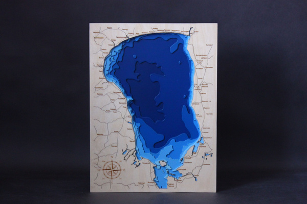 Украшение настенное интерьерное DEEPMAPS Карта Чудского озера с глубинами - купить по доступным ...