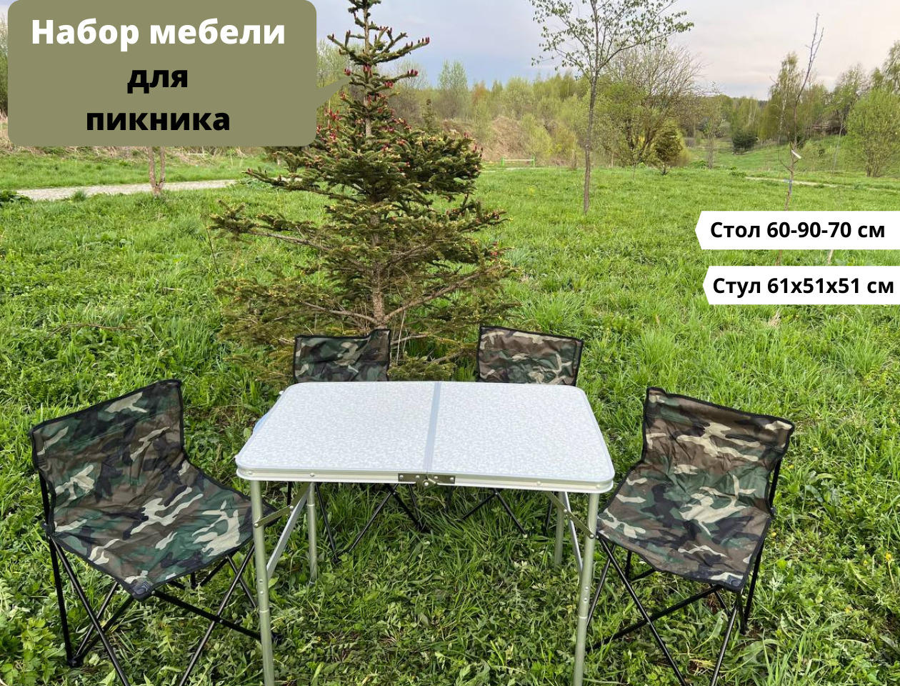Набор мебели для пикника стол складной туристический со стульями 4 шт ...