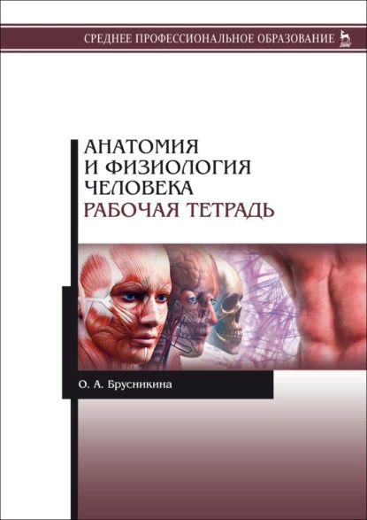 Анатомия Мелких Животных – купить в интернет-магазине OZON по выгодной цене