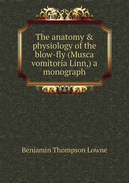 The anatomy & physiology of the blow-fly (Musca vomitoria Linn,) a ...