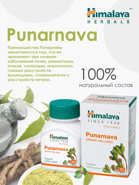 Himalaya Пунарнава (Punarnava) натуральное растительное средство для ...