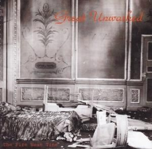 Audio CD Great Unwashed - The Fire Next Time (cd) - купить по низким ...