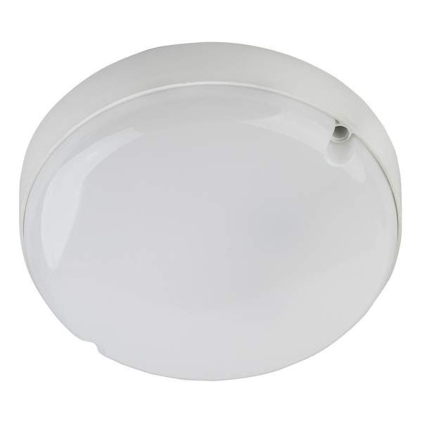 Настенно-потолочный светильник ЭРА SPB_Матовый, LED купить по выгодным ...