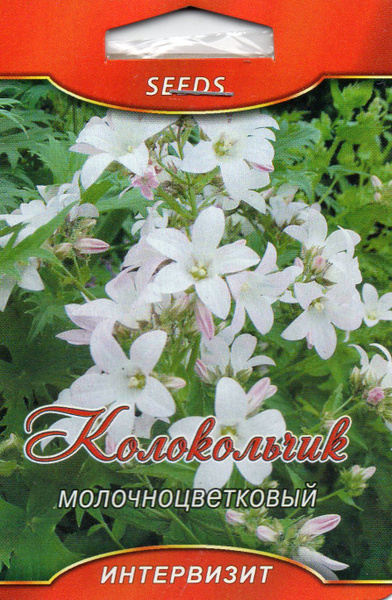Многолетники для альпийской горки Многолетники_белый - купить по ...