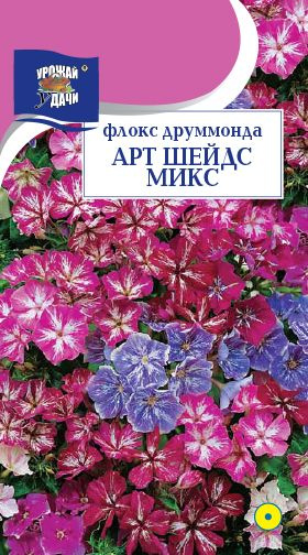 Флоксы Урожай удачи Флокс друммонда Yom Shop One_АРТ ШЕЙДС МИКС ...