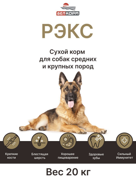 Корм сухой для собак РЭКС 20кг купить с доставкой по выгодным ценам в
