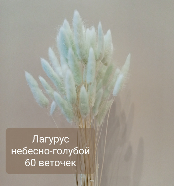Букет из сухоцветов Лагурус, 50 см, 100 гр, 60 шт купить по выгодной ...