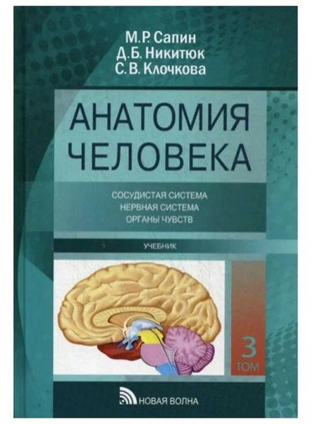 Анатомия человека (для стоматологов): Учебник. В 3 т. Т. 3: Сосудистая ...