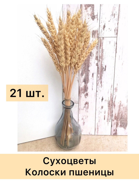 Сухоцветы для рукоделия, колоски пшеницы, 21 шт. - купить с доставкой ...