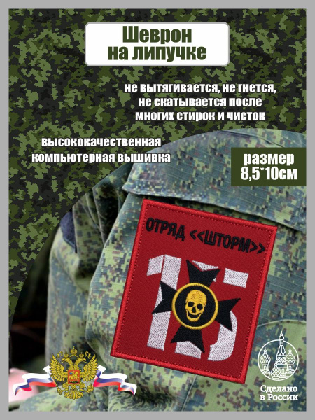 Шеврон Отряд Шторм - купить с доставкой по выгодным ценам в интернет ...